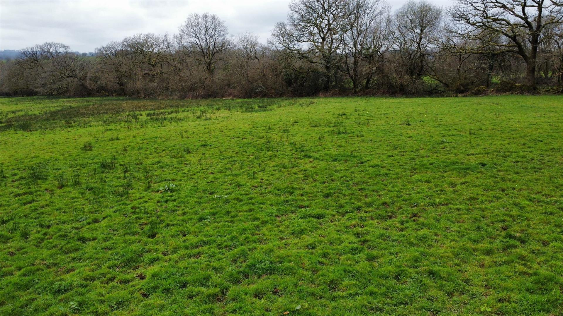 4.32 Acres Of Organic Land, Llanfallteg, Whitland – JJMorris